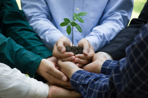 Capstan Financial Consulting Group - 401K Advisors | Sarasota, FL